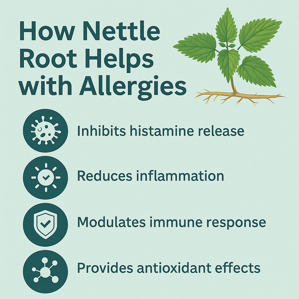 Stinging Nettle Root for Allergies: Natural Antihistamine Backed by Sc ...
