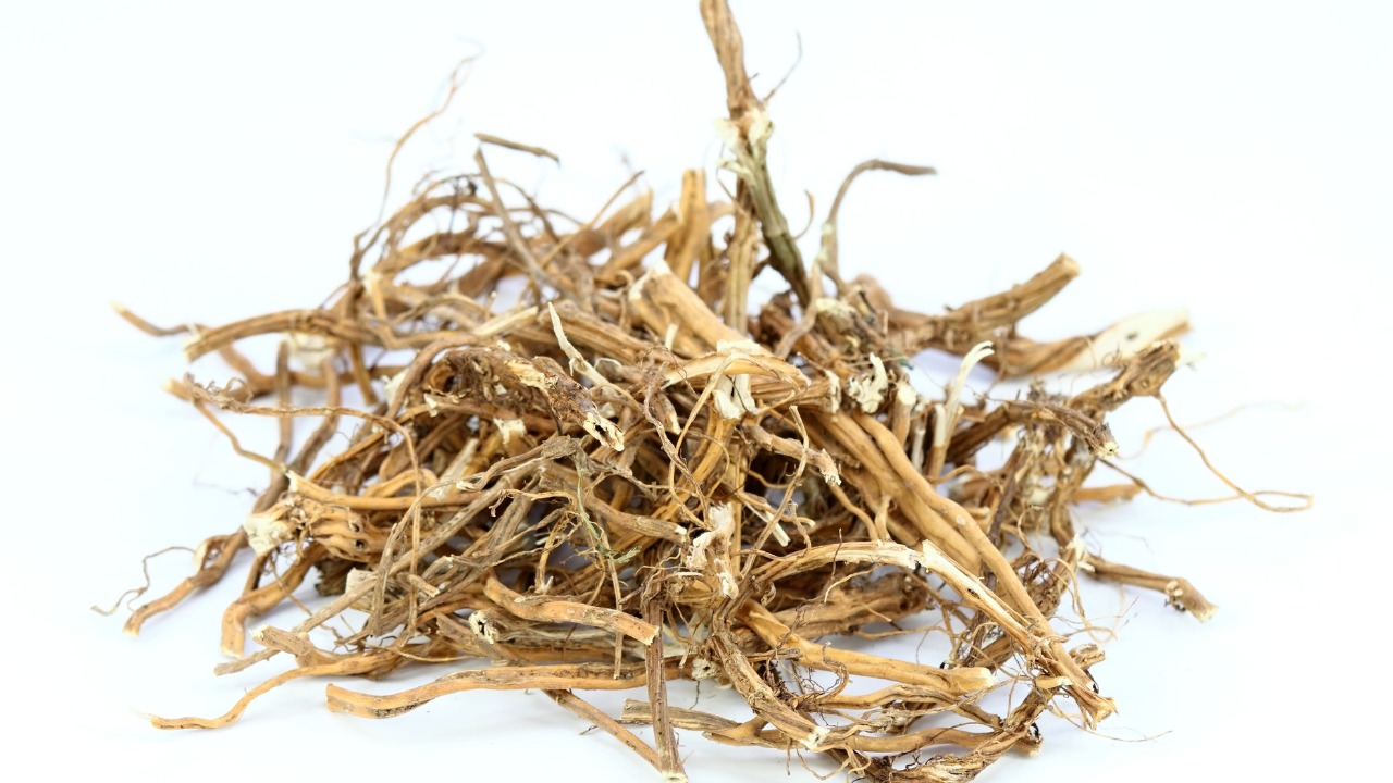 The Benefits of Stinging Nettle Root: A Comprehensive Guide – Real Herbs