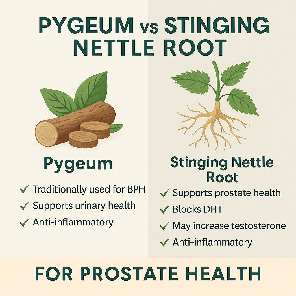 Stinging Nettle Root vs Pygeum: Which One Works Best for Prostate Heal ...